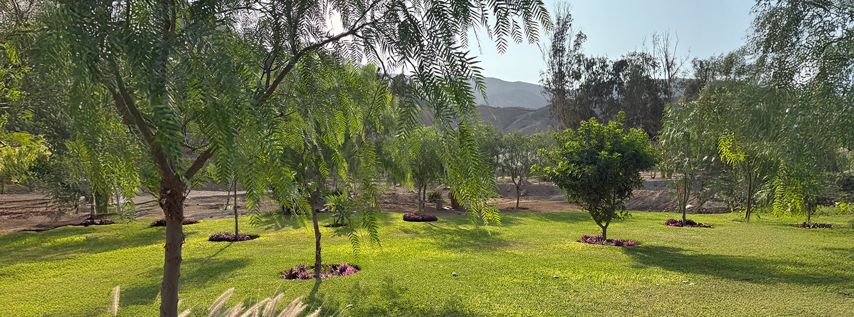 Bosques del Molle